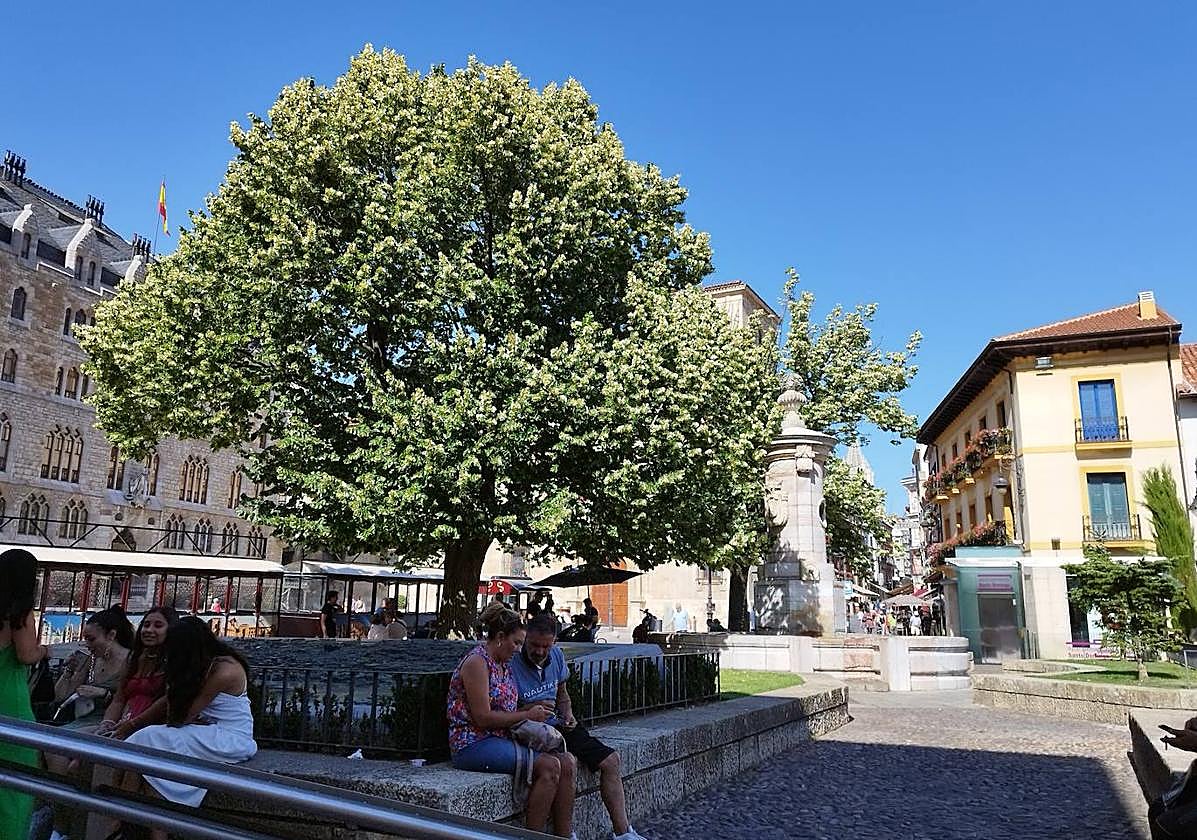 Cielos despejados y máximas de 34 grados este viernes en León | leonoticias.com